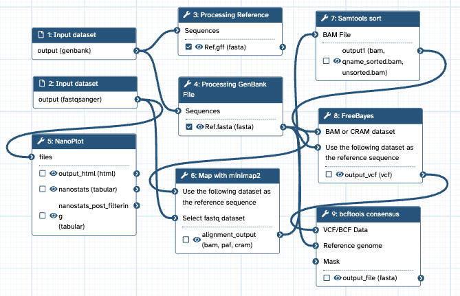 Empowering Biomedical Research with Galaxy. A Cloud-Based Platform